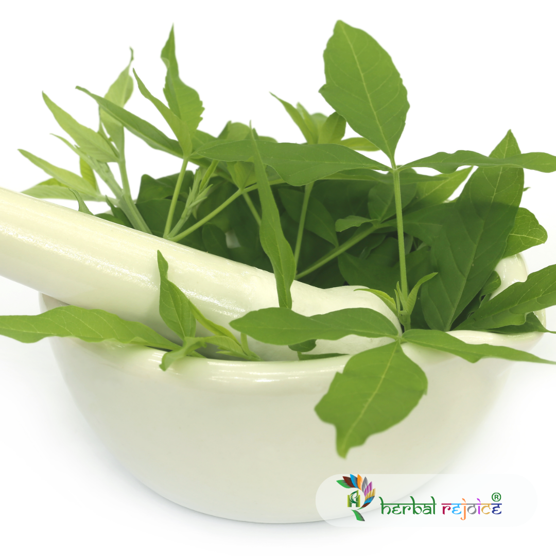 Skin Care Secrets of The Vitex negundo - Herbal Rejoice